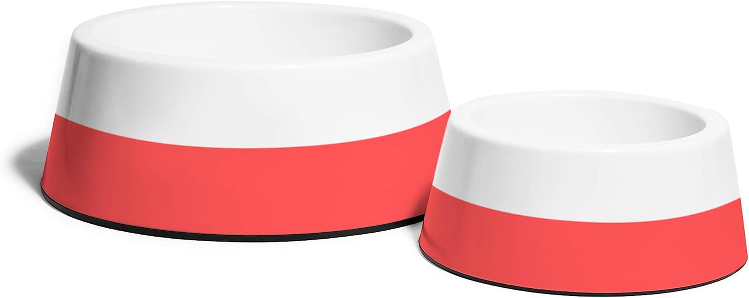 Corelle Dog Plates: Best Dinnerware for Your Pet