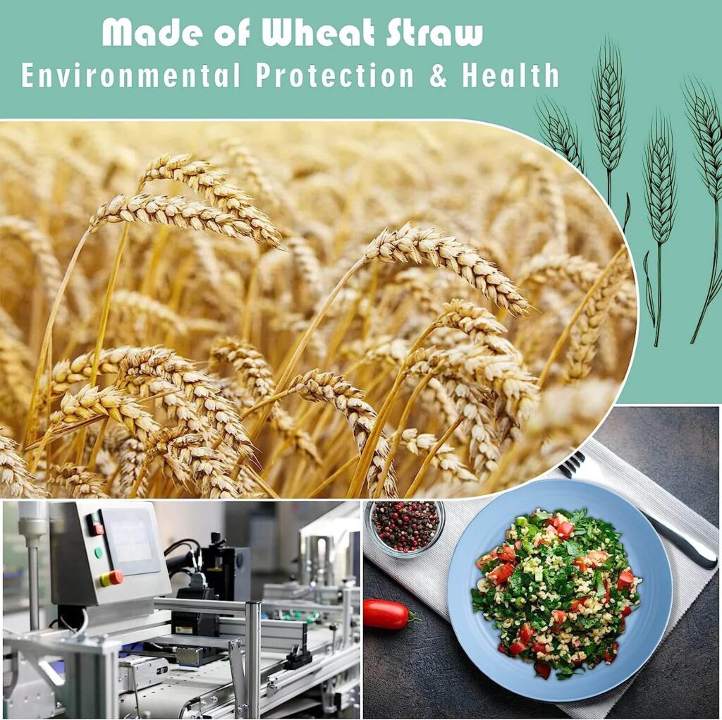 What Is Wheat Straw Dinnerware? Complete Guide & Facts