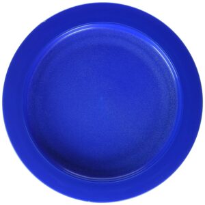 Lipped Plates for the Disabled: The Complete Guide