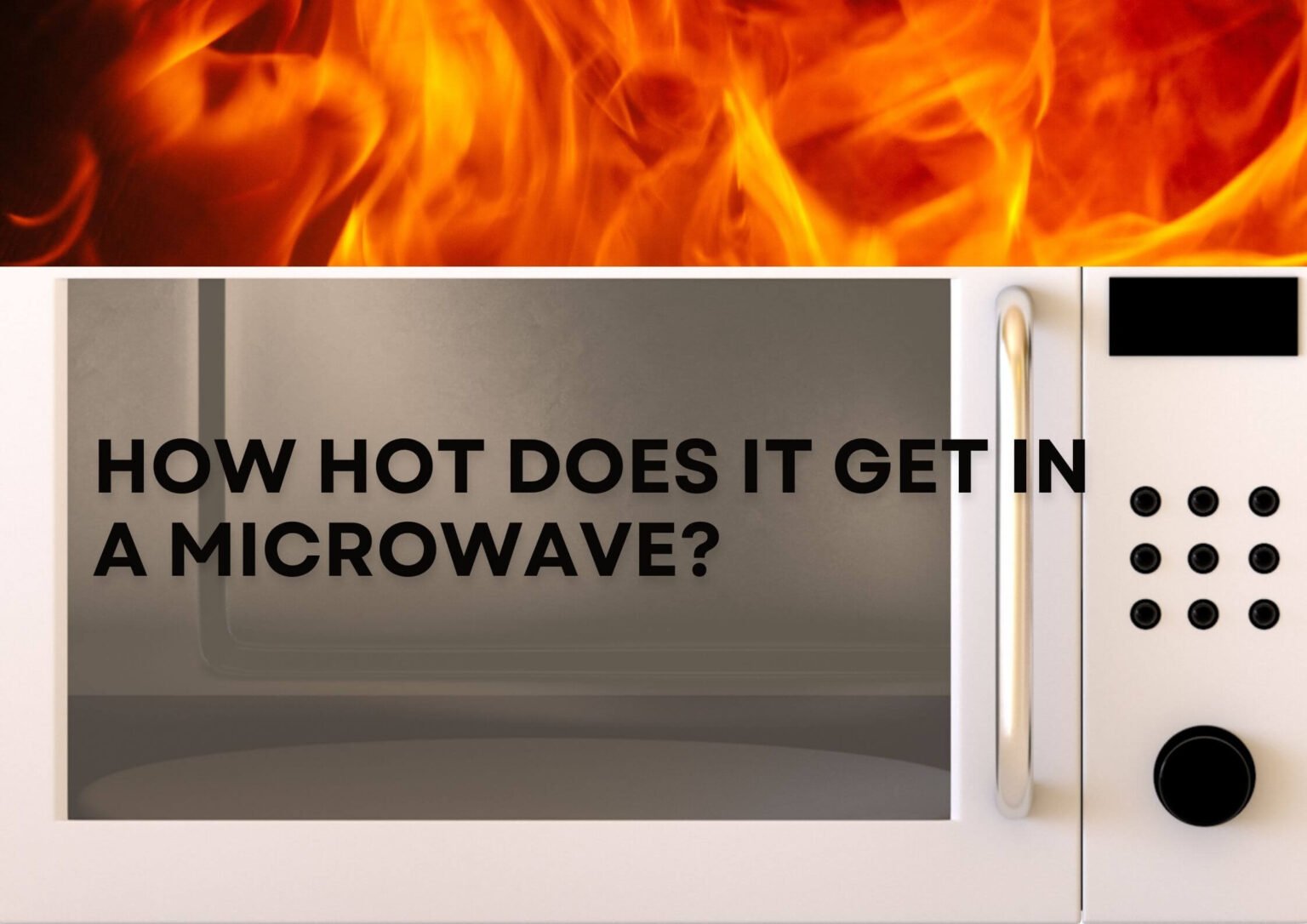 How Hot Does it Get in a Microwave Oven? Shocking Truth