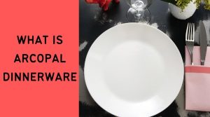 Arcopal Dinnerware - All You Need to Know